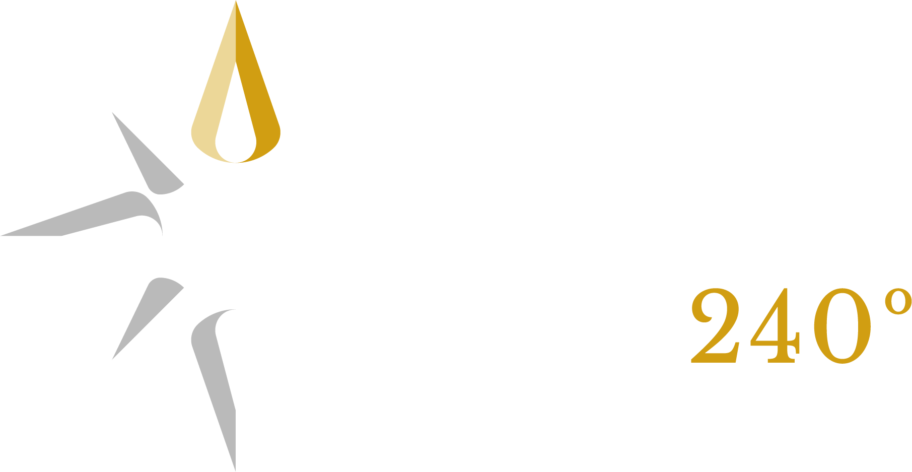 Homepage - Northstar ns240